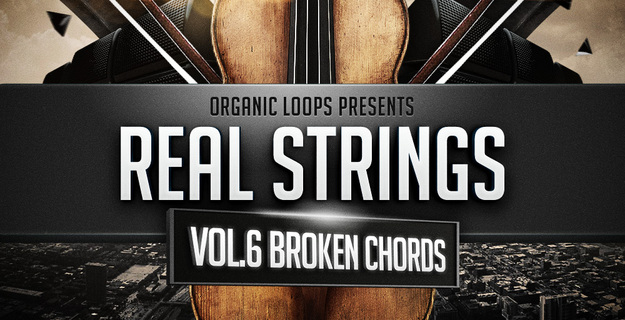 Real Strings Vol. 6 - Broken Chords | Plugin Boutique