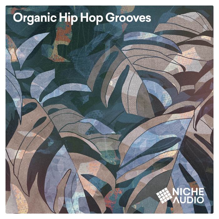 Organic Hip Hop Grooves | Plugin Pusher