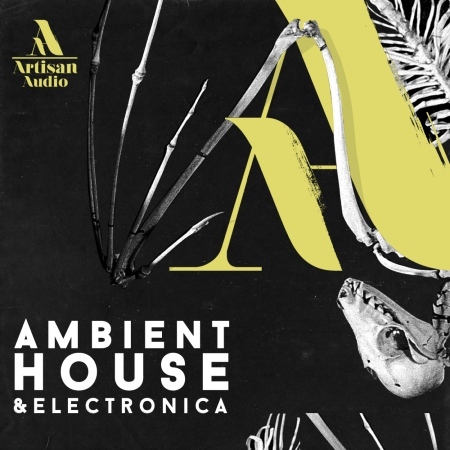 Artisan Audio - Ambient House & Electronica | Plugin Boutique