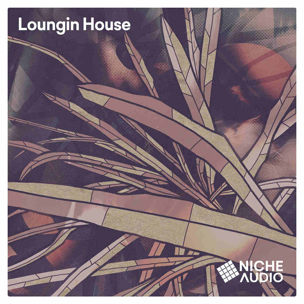Loungin House Wav Pack | Plugin Pusher