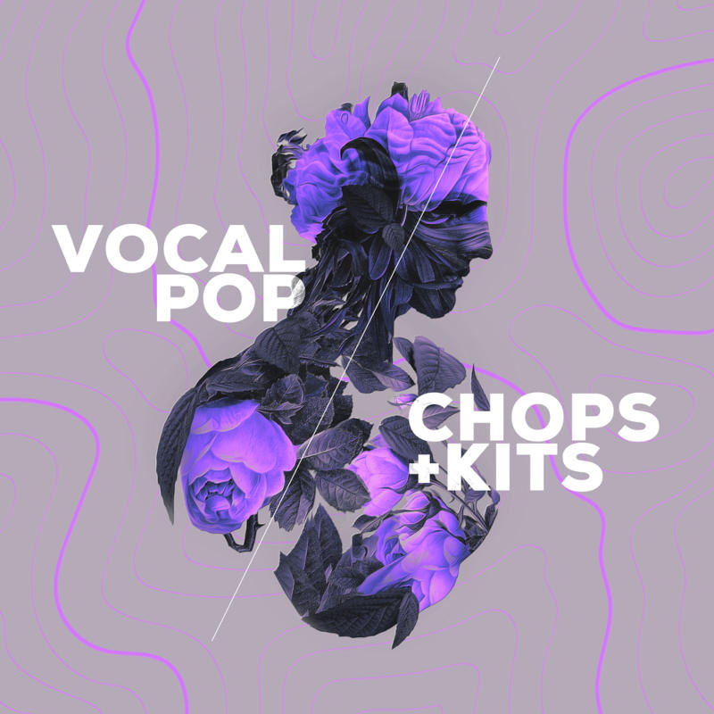 Loopmix Expansion: VOCAL POP | Plugin Pusher