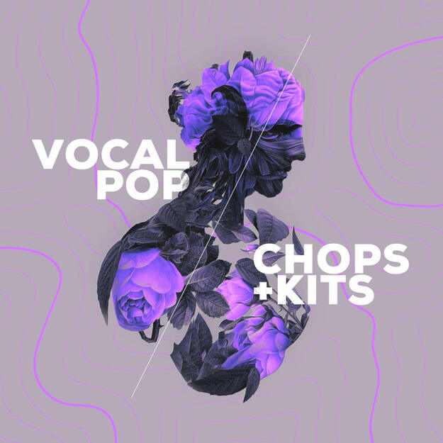 Buy Loopmix Expansion: VOCAL POP | Expansion Packs | Plugin Boutique