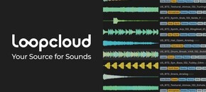 Buy Loopcloud Plans VST Plugins, Loopcloud Plans Instruments and