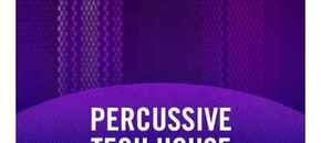 Percussive Tech House - USAGI POST Plugins