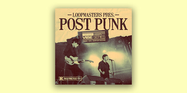 Buy VIBES 13 - Post Punk | Rock | Plugin Boutique