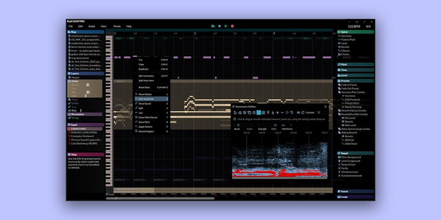 Buy RipX DAW Pro | DAW | Plugin Boutique