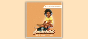 Soulchild Neo Soul Vibes - USAGI POST Plugins