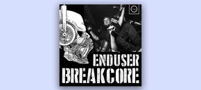 Enduser Breakcore - USAGI POST Plugins