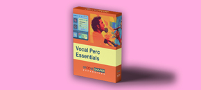 Groove Shaper Expansion: Vocal Perc Essentials - USAGI POST Plugins