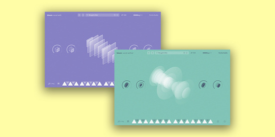 Bloom Vocal Bundle | Plugin Pusher